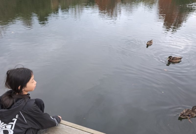 Creating a Calming Presence: 25 Traits That Define a Calm Person - A ...