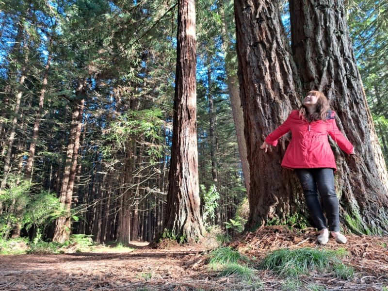 Creating a Calming Presence: 25 Traits That Define a Calm Person - A ...